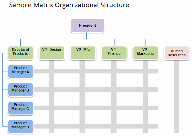 Free Organizational Chart Template Company Organization Chart